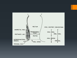 Anatomy of anal canal | PPTX