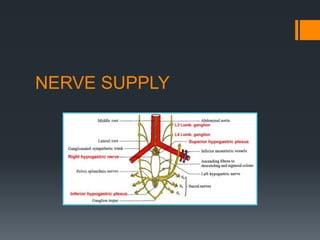 Anatomy of anal canal | PPTX