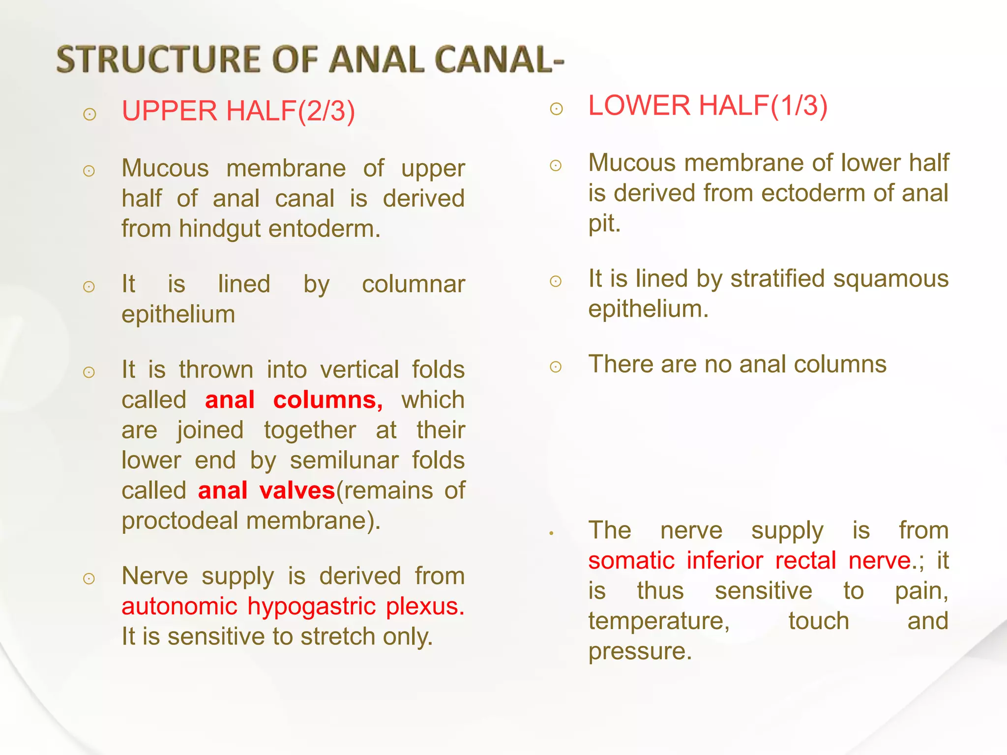 Anatomy of anal sphincter and perineal body | PPTX