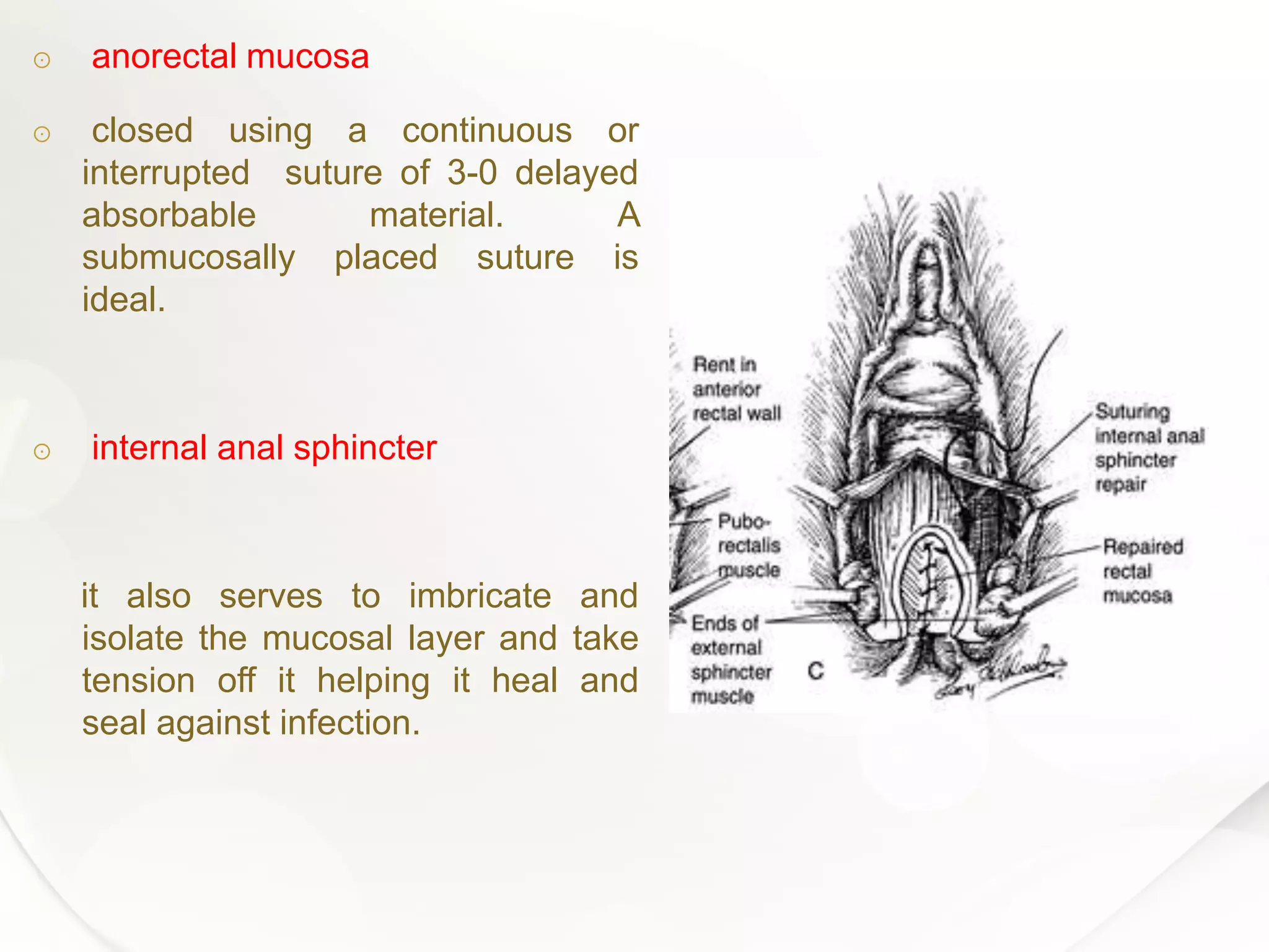 Anatomy of anal sphincter and perineal body | PPTX