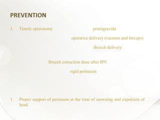 Anatomy of anal sphincter and perineal body | PPTX