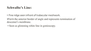 Anatomy of Angle of Anterior chamber.pptx