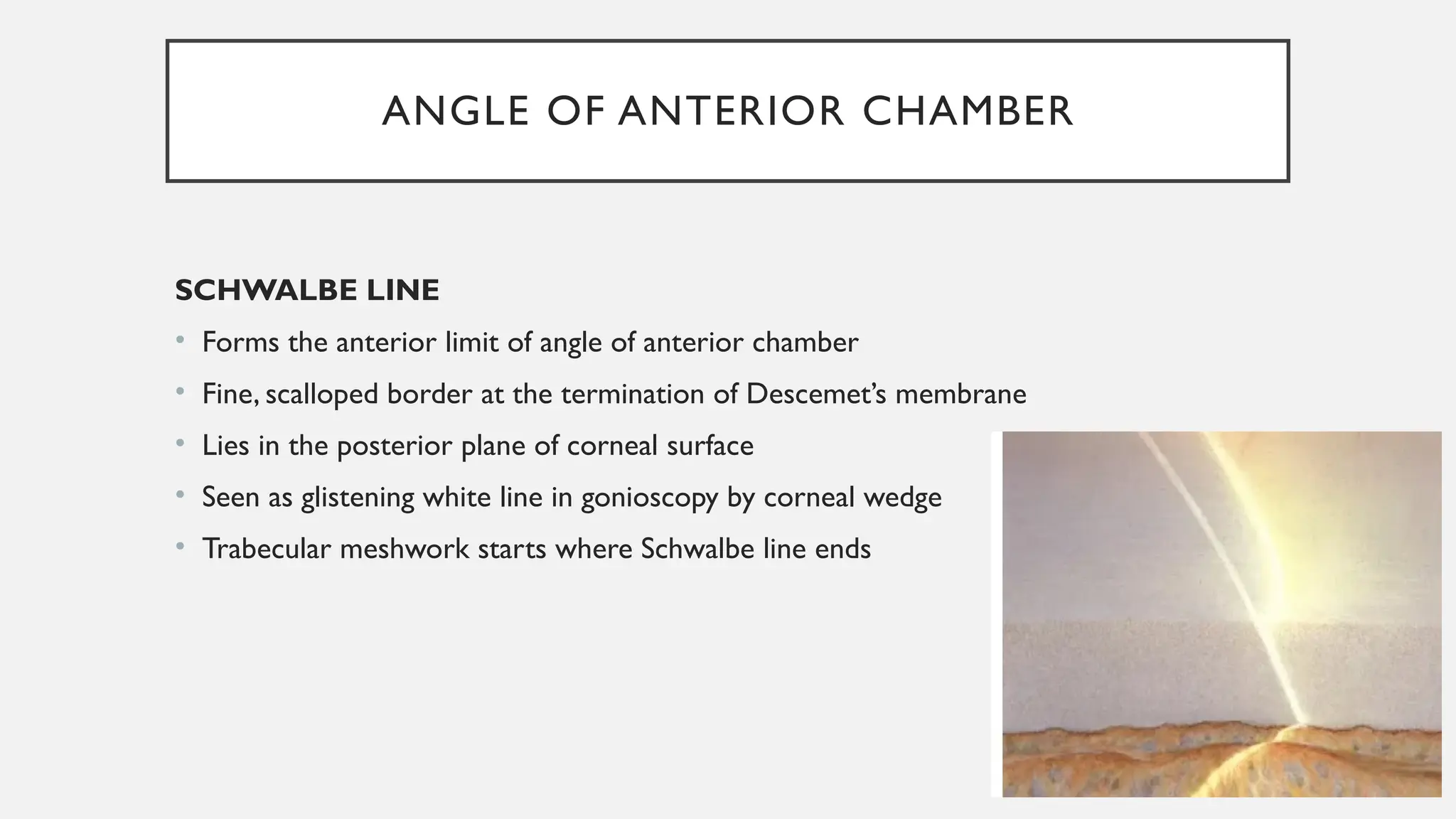 ANATOMY OF ANGLE OF ANTERIOR CHAMBER dr sanjana.pptx