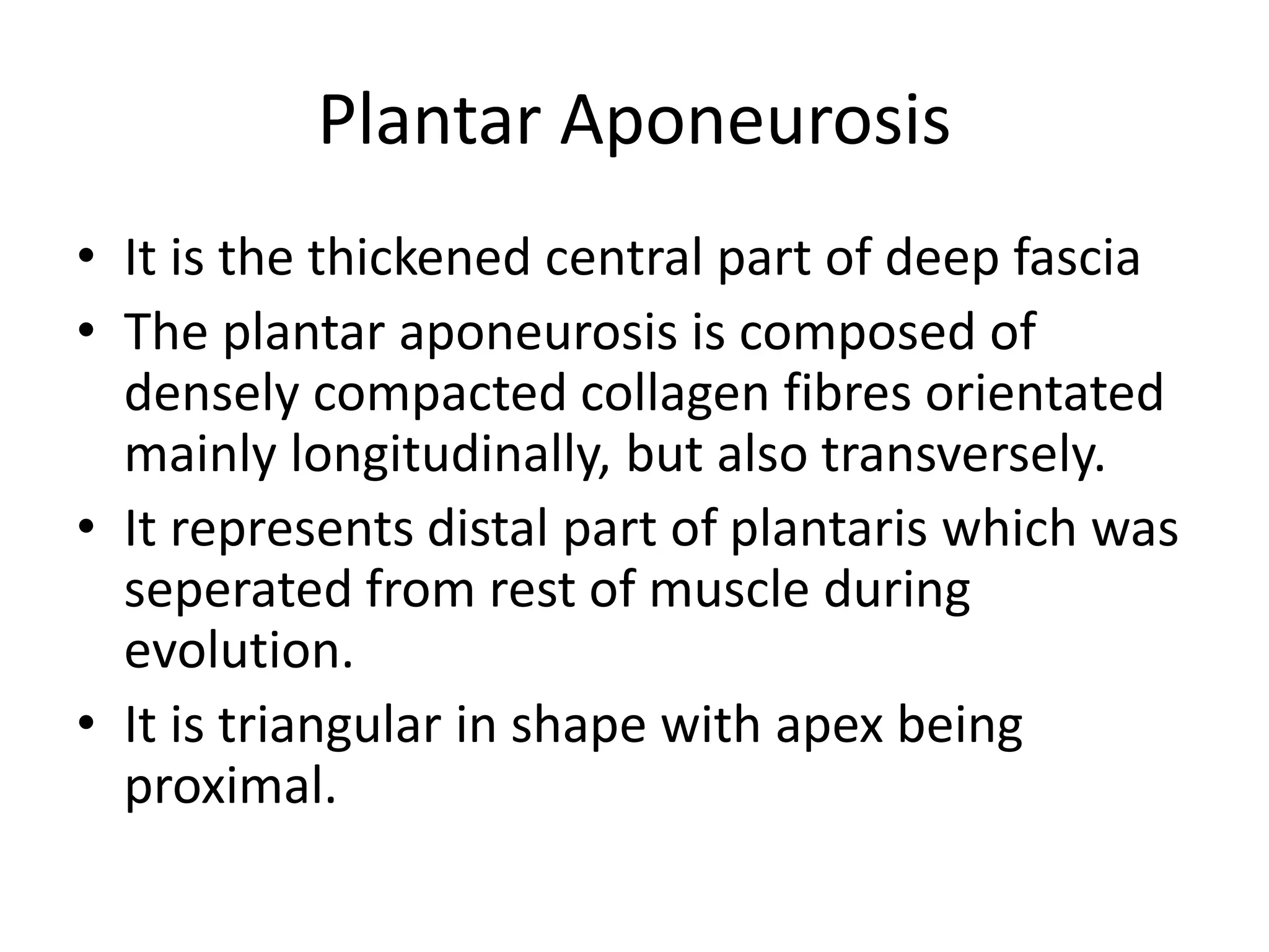 Anatomy of ankle and foot | PPSX