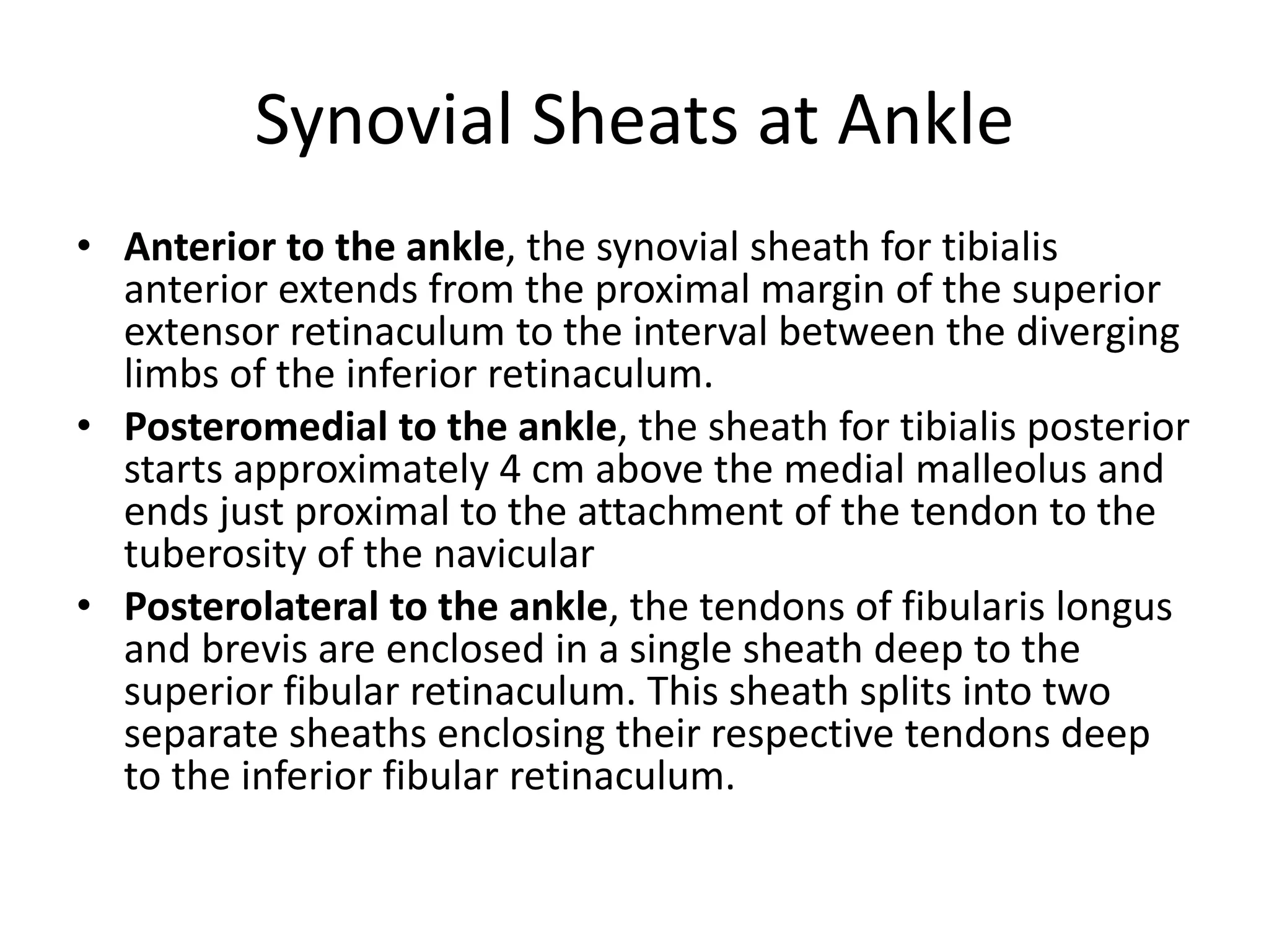 Anatomy of ankle and foot | PPSX