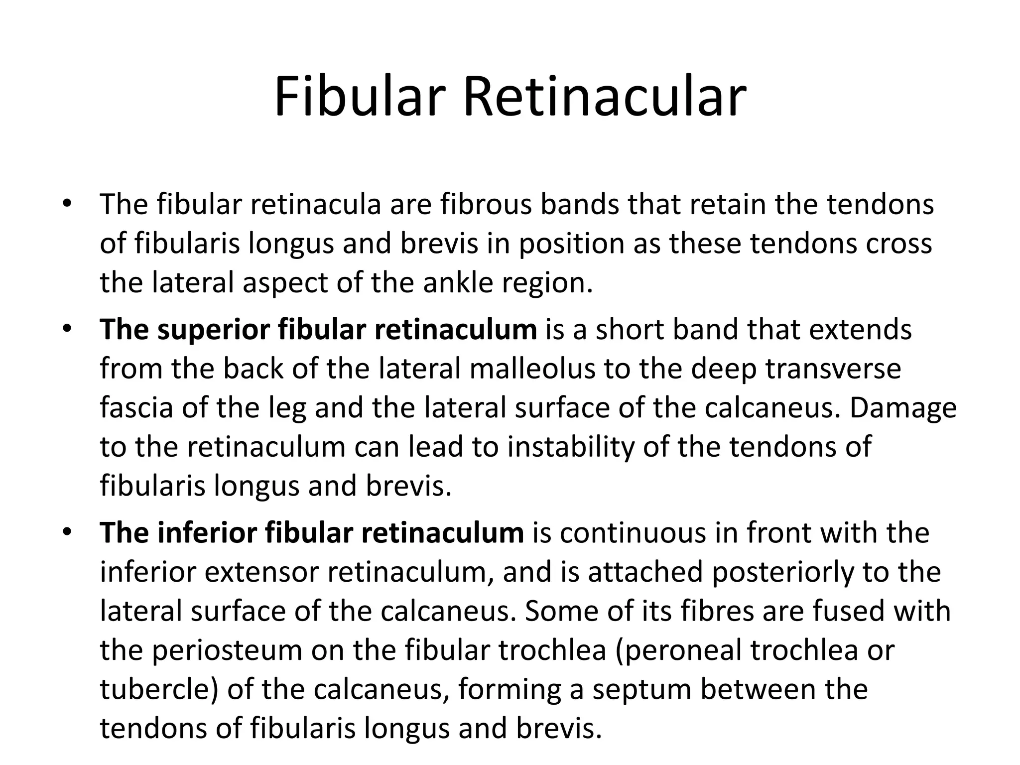 Anatomy of ankle and foot | PPSX