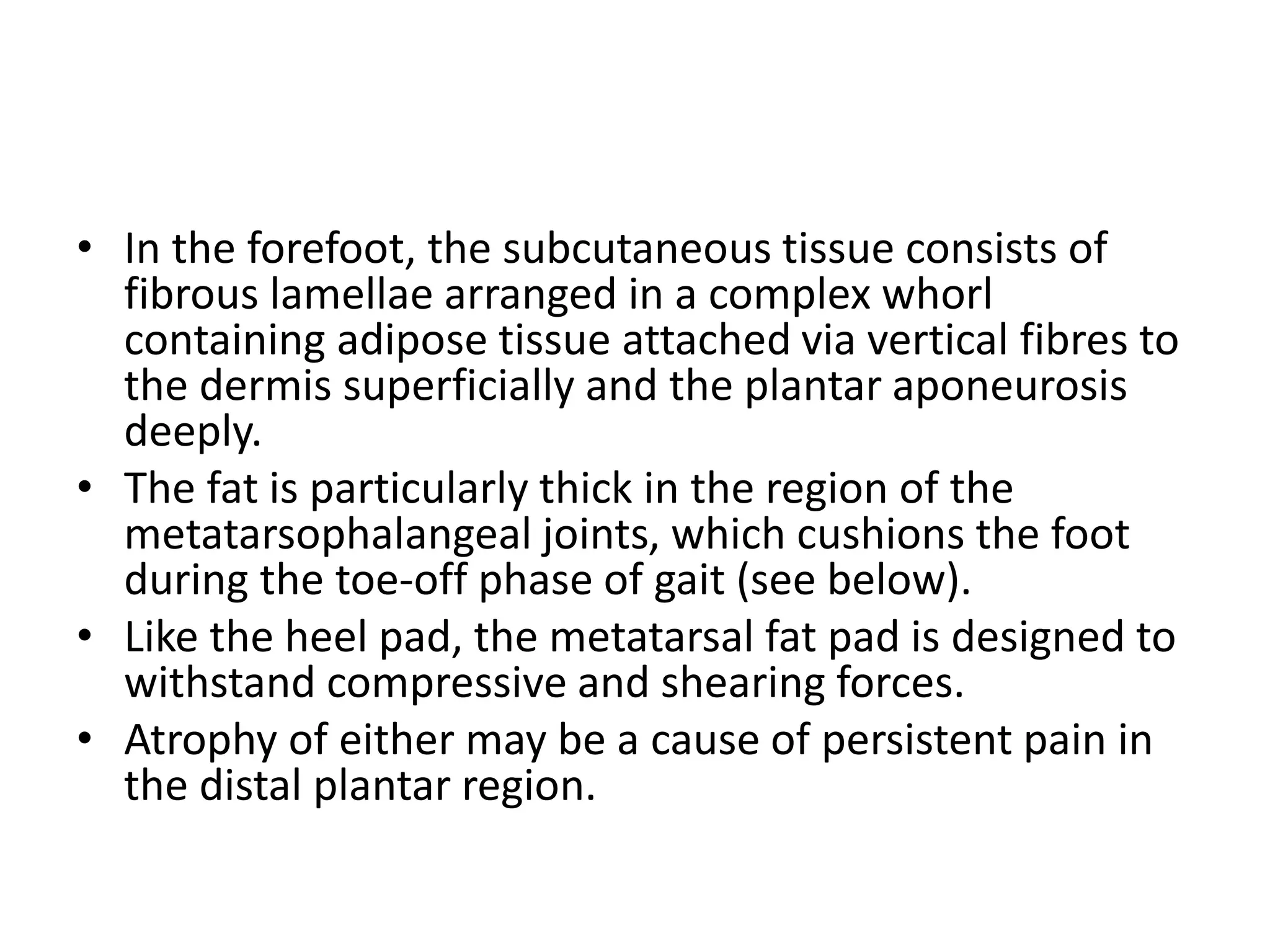 Anatomy of ankle and foot | PPSX