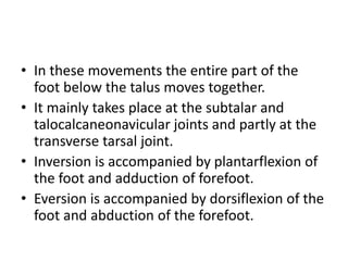 Anatomy of ankle and foot | PPSX