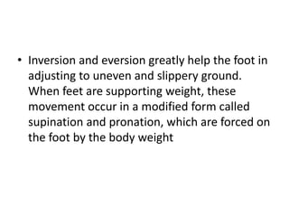 Anatomy of ankle and foot | PPSX