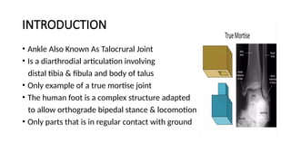 ANATOMY OF ANKLE AND FOOT clinical significance | PPTX