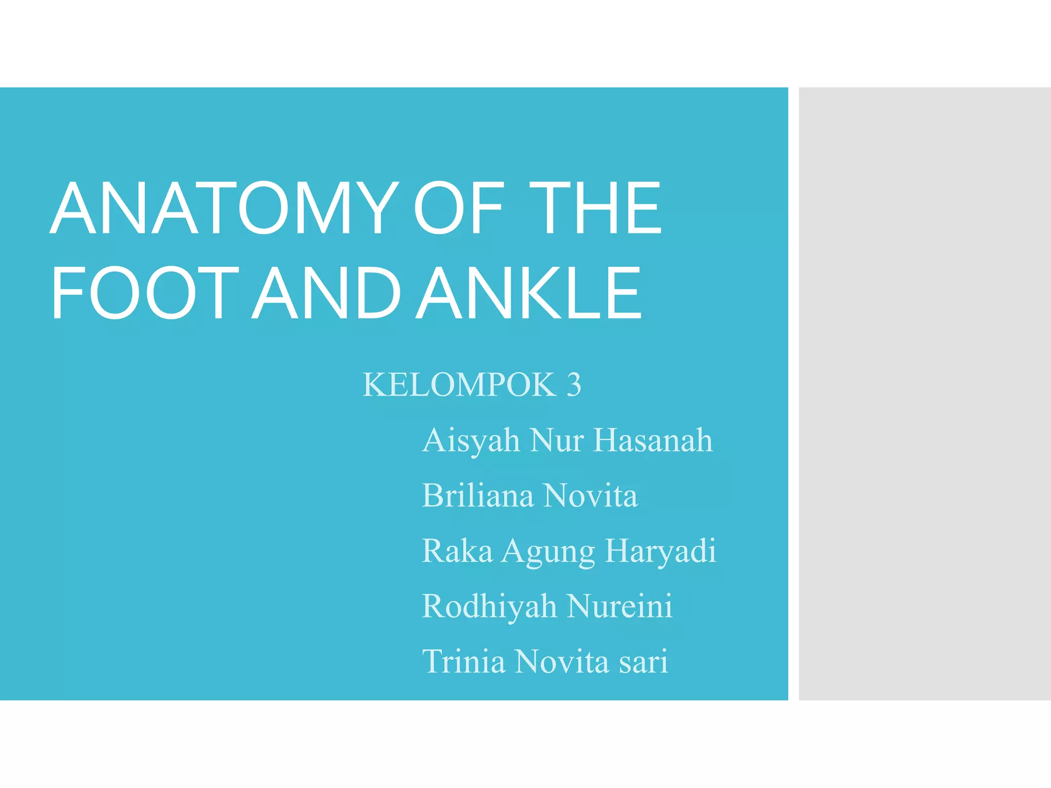 Anatomy of ankle and foot fo | PPTX