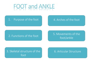 Anatomy of ankle and foot fo | PPTX