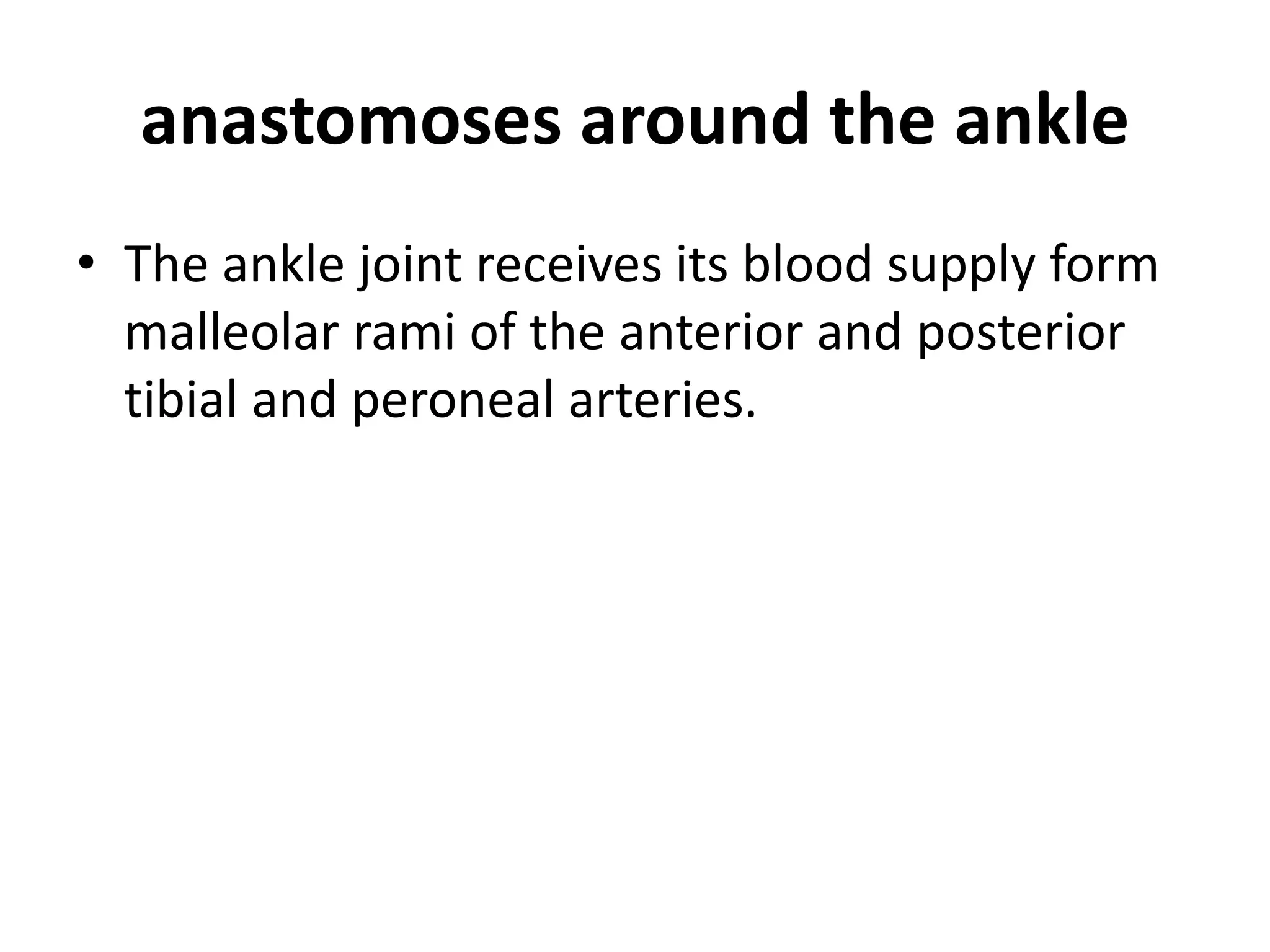 Anatomy of ankle joint | PPTX
