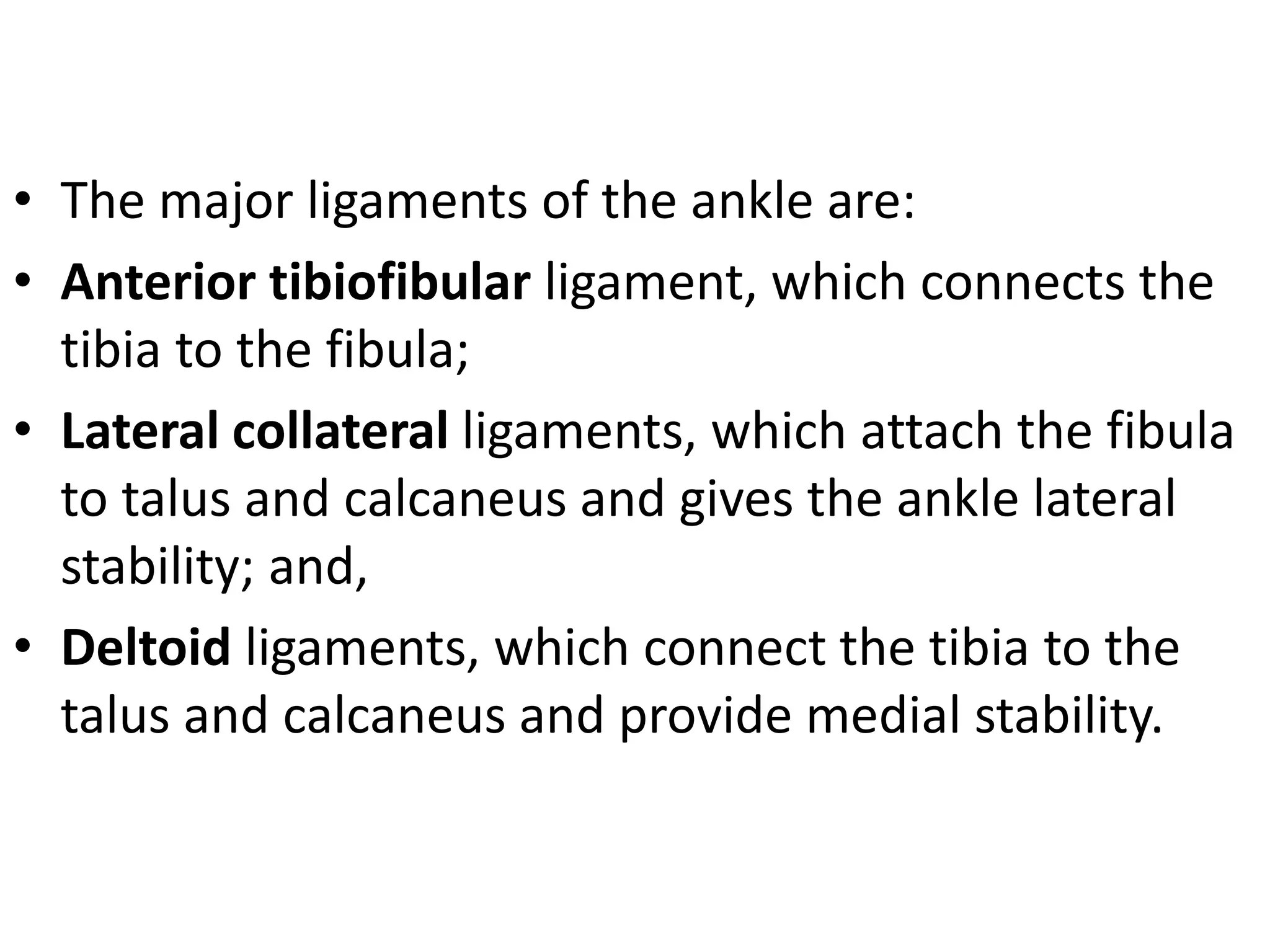 Anatomy of ankle joint | PPTX