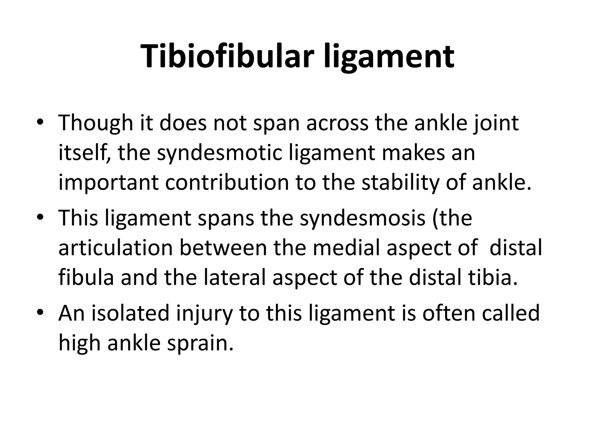 Anatomy of ankle joint | PPTX