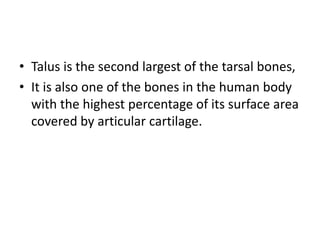 Anatomy of ankle joint | PPTX