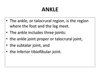 Anatomy of ankle joint | PPTX