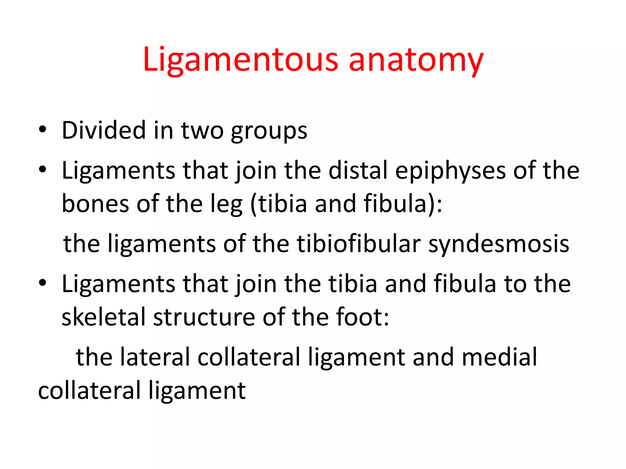 Anatomy of ankle joint | PPTX