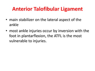 Anatomy of ankle joint | PPTX