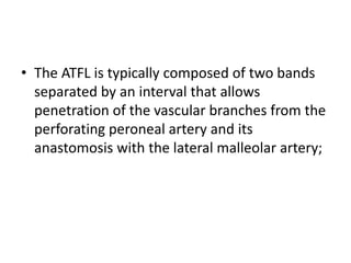 Anatomy of ankle joint | PPTX