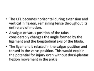 Anatomy of ankle joint | PPTX