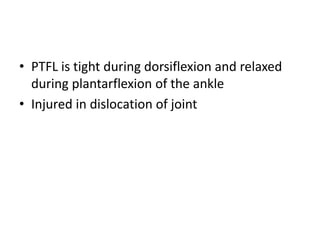 Anatomy of ankle joint | PPTX