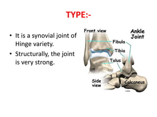 Anatomy of ankle joint | PPTX