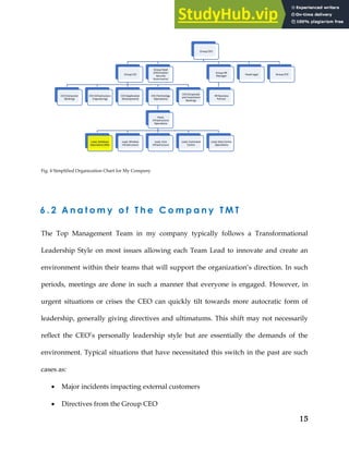 Anatomy Of An Organization S Top Management Team | PDF