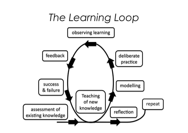 Anatomy of an outstanding lesson | PDF | Educational Assessment | Education