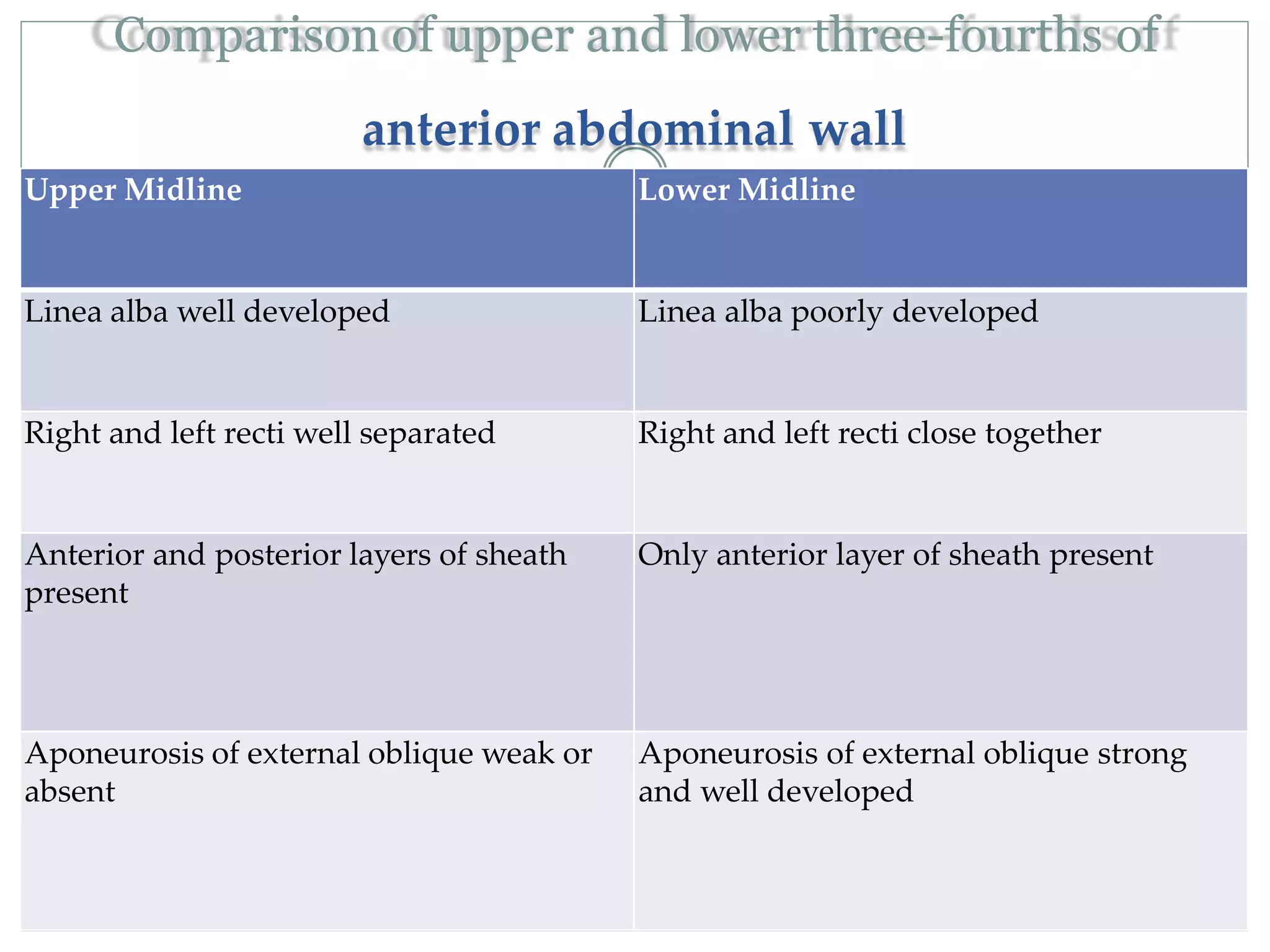 Anatomy of anterior abdominal wall | PPTX