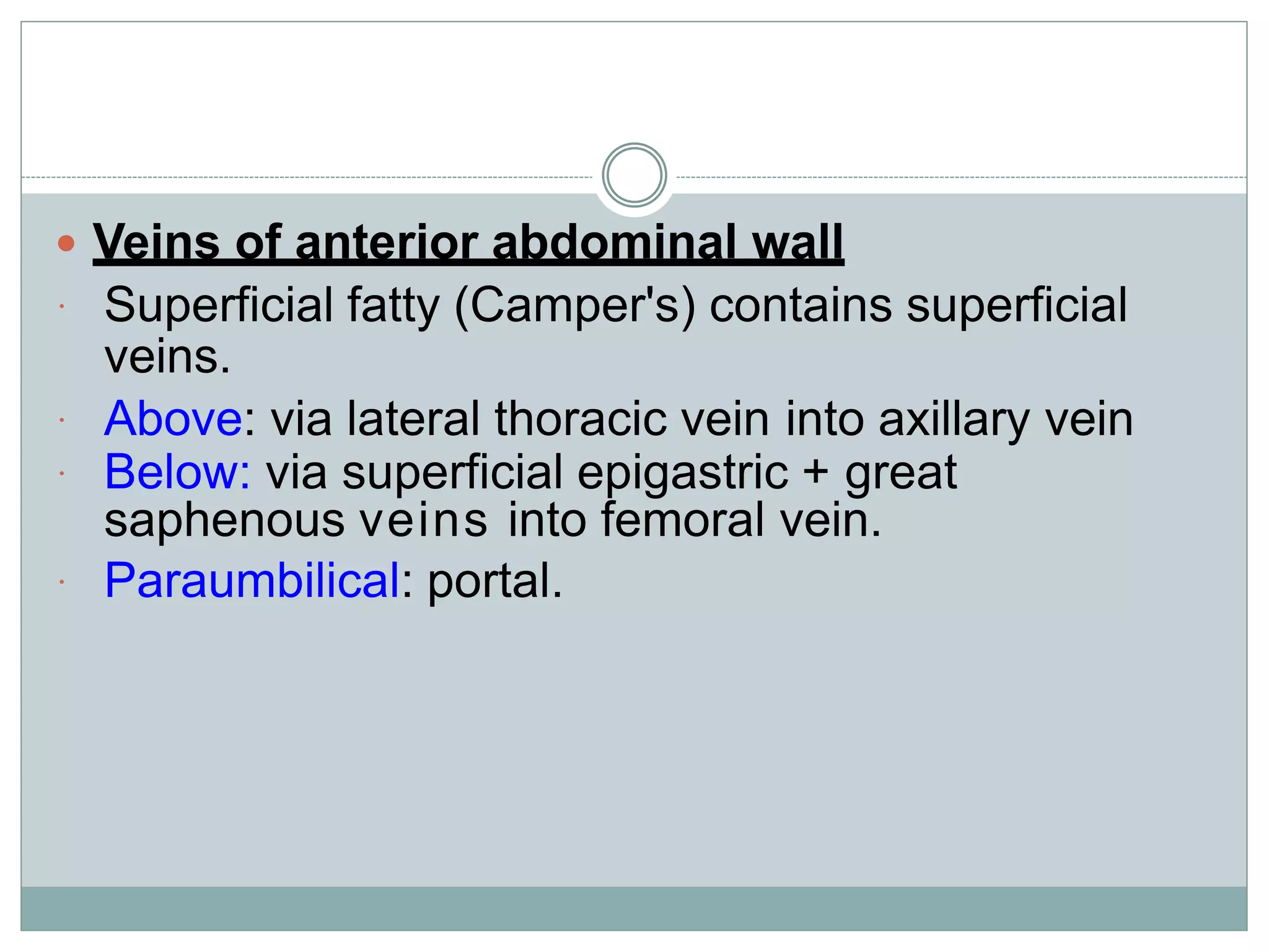 Anatomy of anterior abdominal wall | PPTX