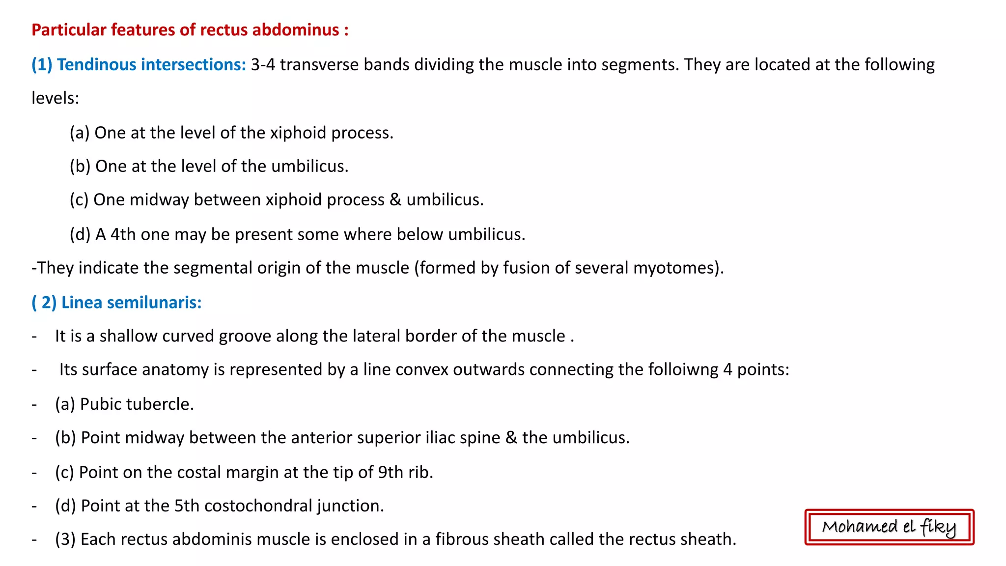 Anatomy of anterior abdominal wall | PDF