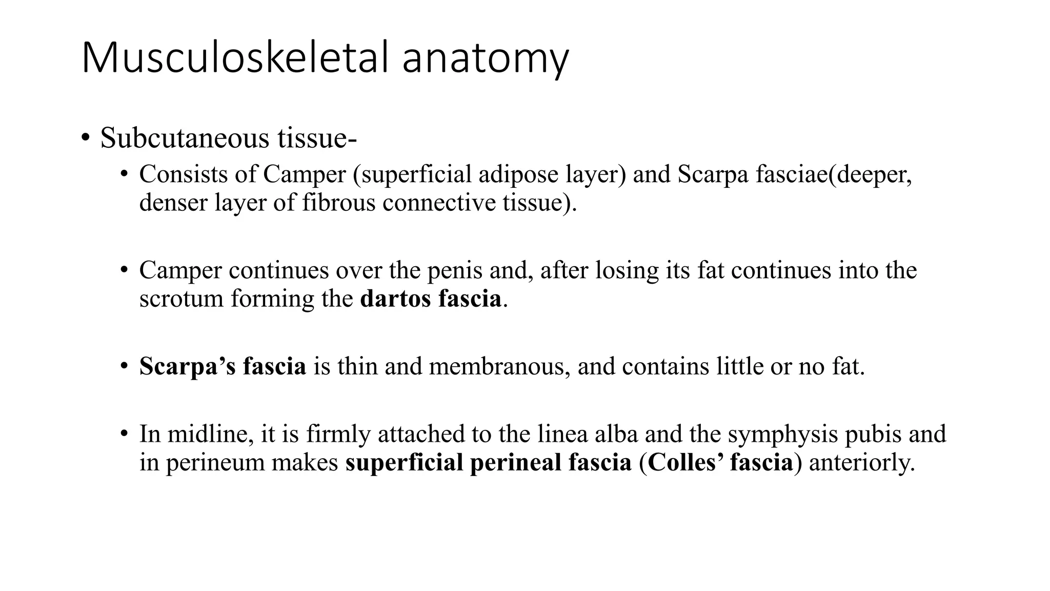 Anatomy of Anterior Abdominal wall.pptx