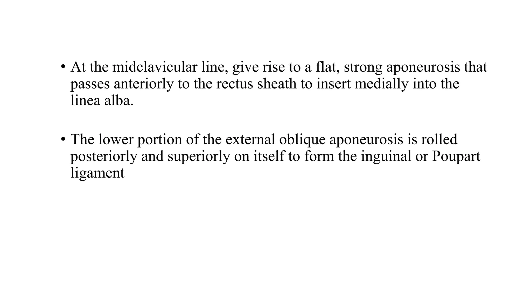 Anatomy of Anterior Abdominal wall.pptx