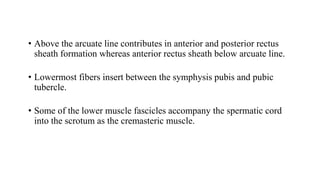 Anatomy of Anterior Abdominal wall.pptx