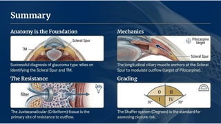 Anatomy of Anterior Chamber Angle-1.pptx