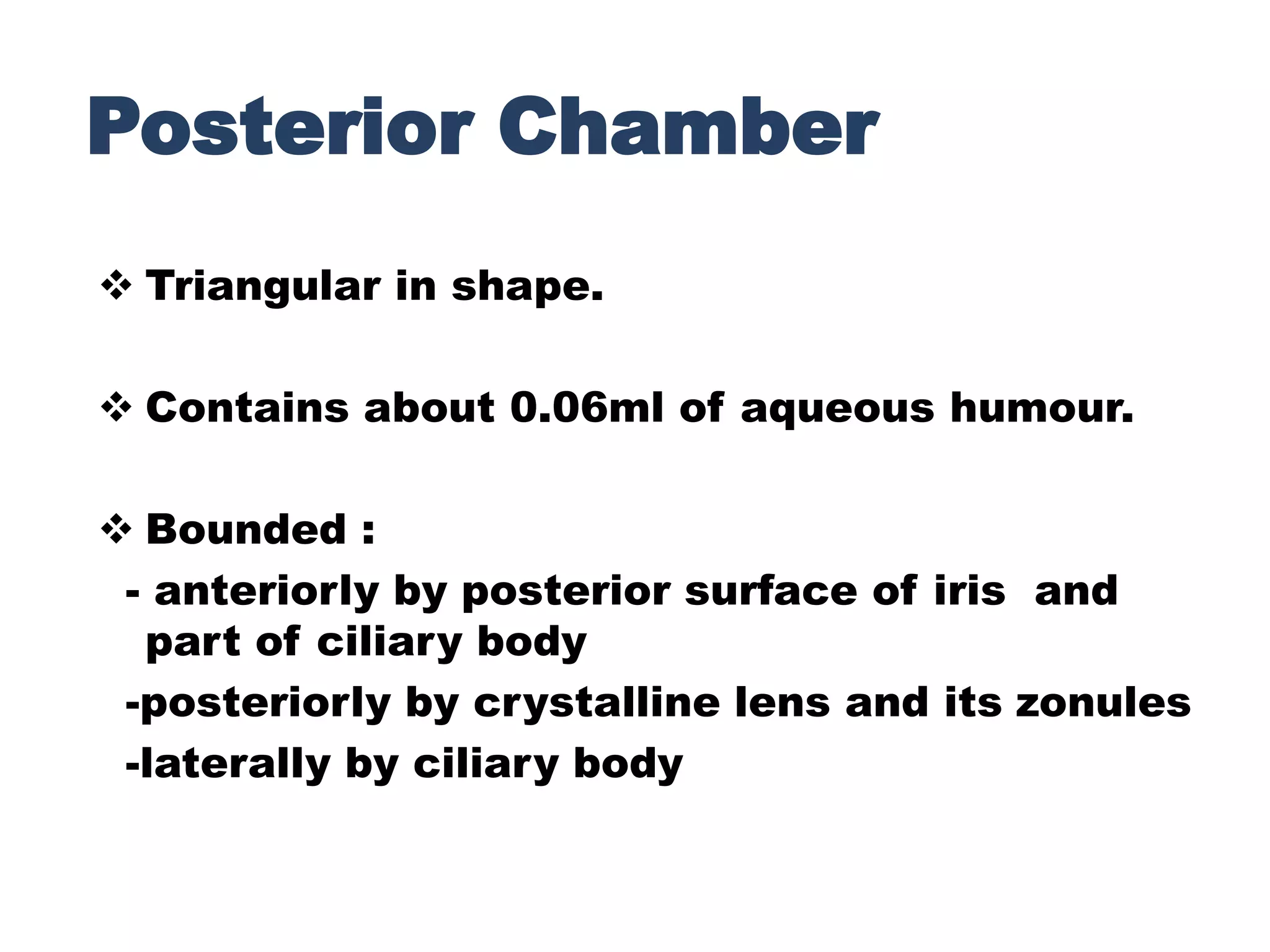 Anatomy of anterior chamber angle (1) | PPTX