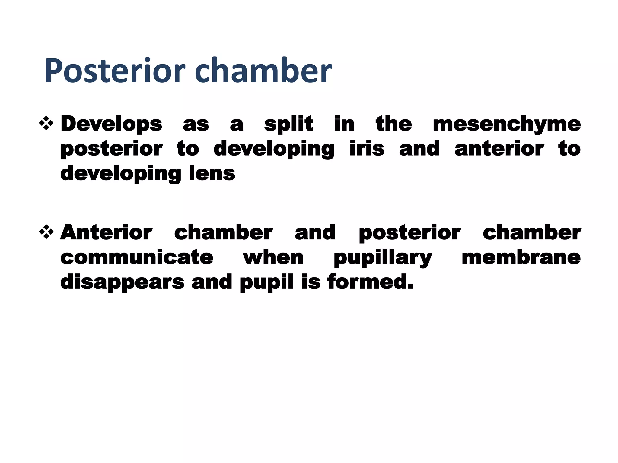 Anatomy of anterior chamber angle (1) | PPTX