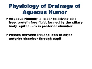 Anatomy of anterior chamber angle (1) | PPTX