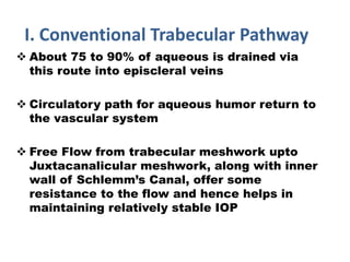 Anatomy of anterior chamber angle (1) | PPTX