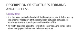 ANATOMY OF ANTERIOR CHAMBER ANGLE AND GONIOSCOPY.pptx