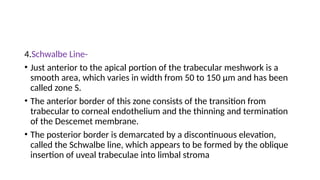 ANATOMY OF ANTERIOR CHAMBER ANGLE AND GONIOSCOPY.pptx
