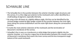 ANATOMY OF ANTERIOR CHAMBER ANGLE AND GONIOSCOPY.pptx