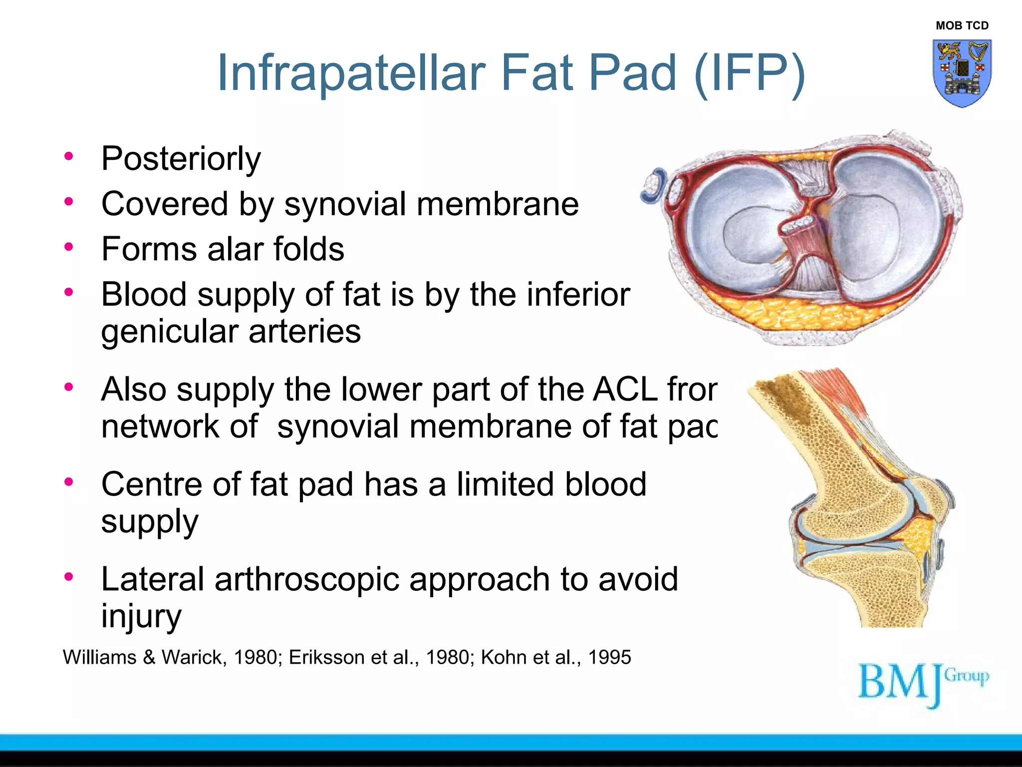 Anatomy of anterior_cruciate_ligament | PPT