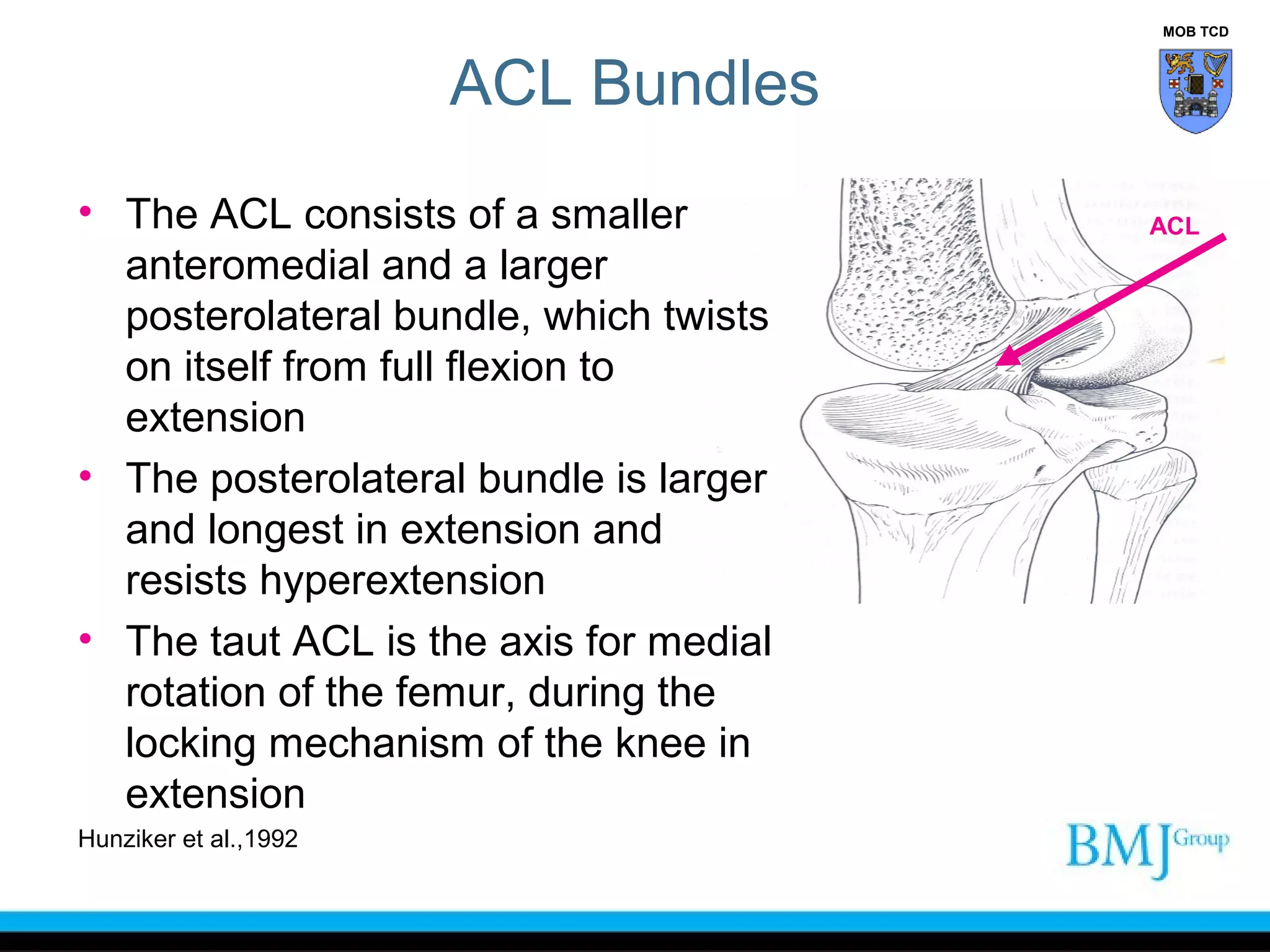 Anatomy of anterior_cruciate_ligament | PPT