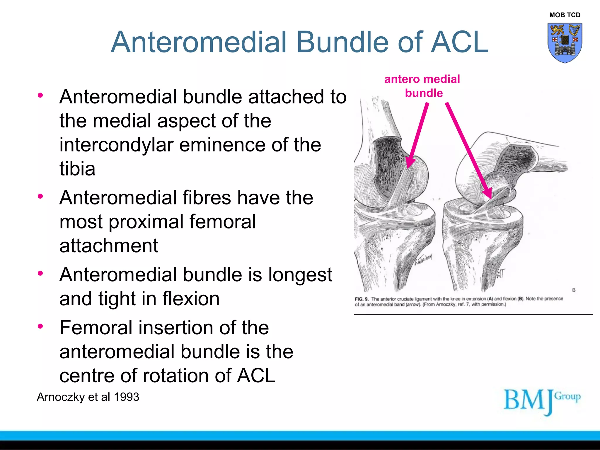 Anatomy of anterior_cruciate_ligament | PPT