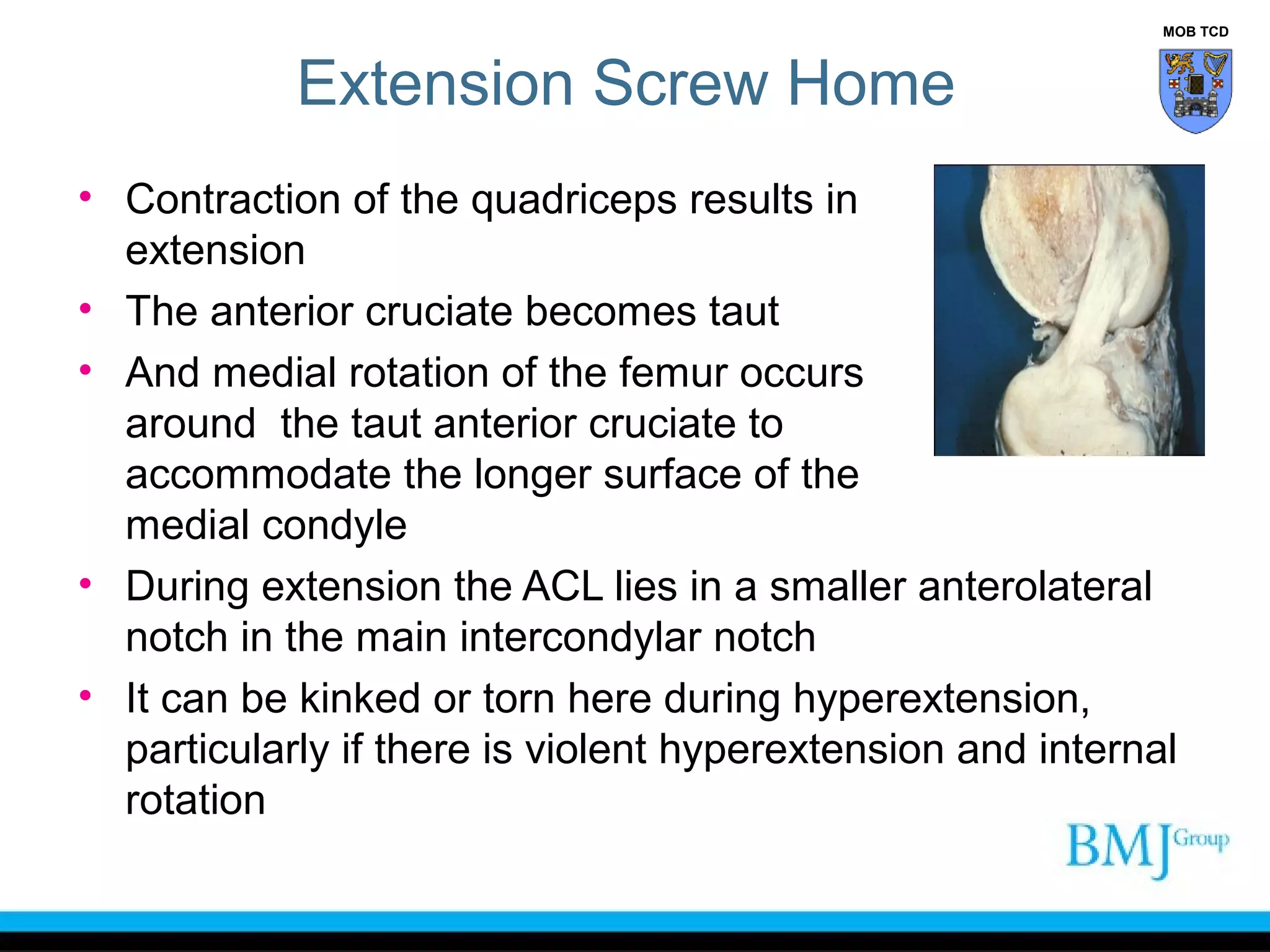 Anatomy of anterior_cruciate_ligament | PPT