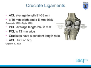Anatomy of anterior_cruciate_ligament | PPT