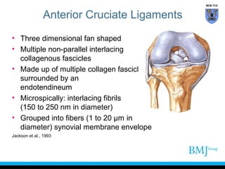Posterior Cruciate Ligament Origin And Insertion