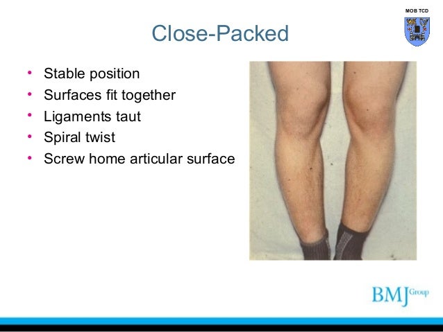 Anatomy of anterior_cruciate_ligament
